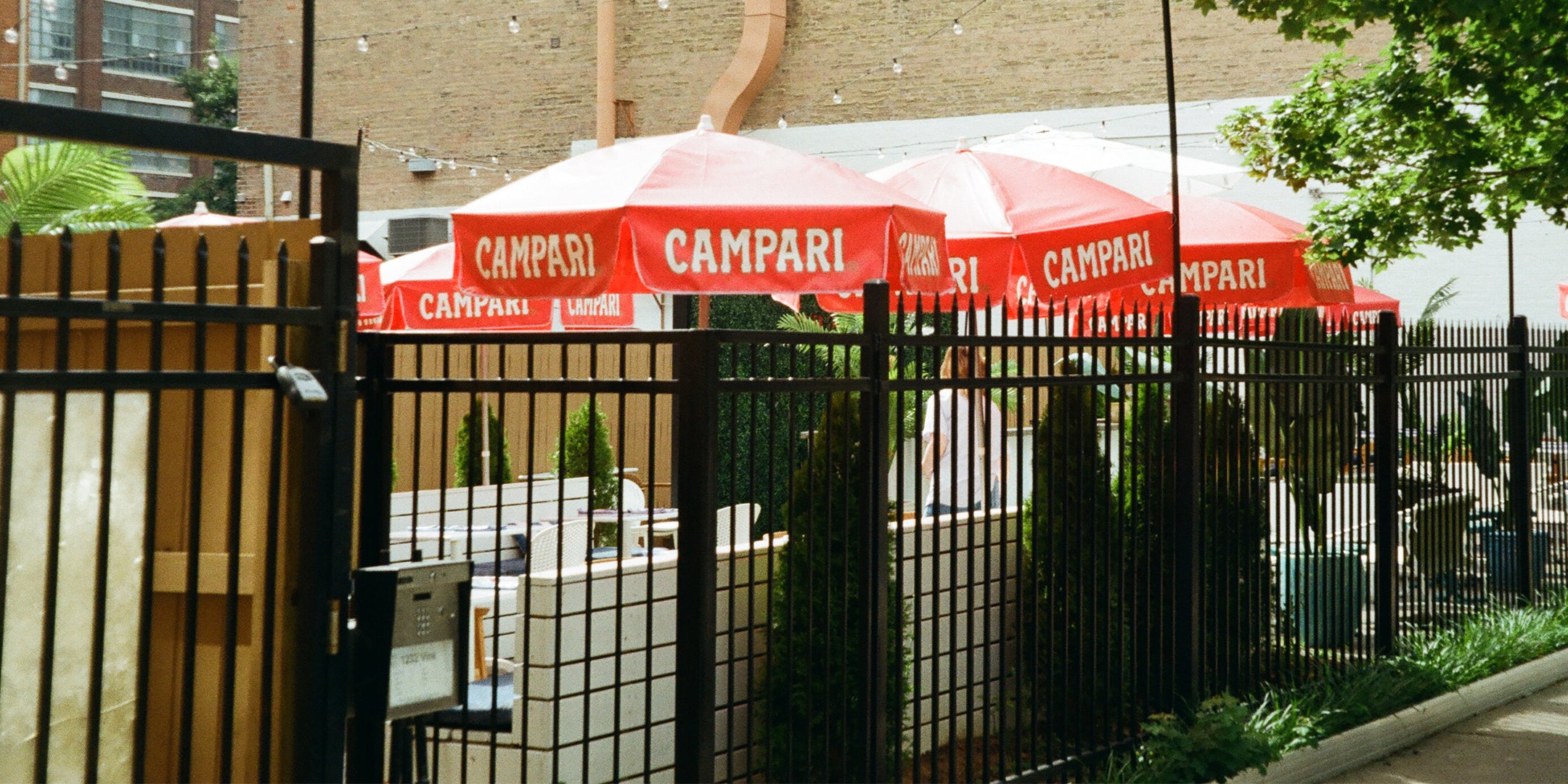 Newman & Co. – Newman & Co. Consignment